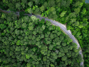 What Is Freebasing? The Dangerous Practice | Alpas